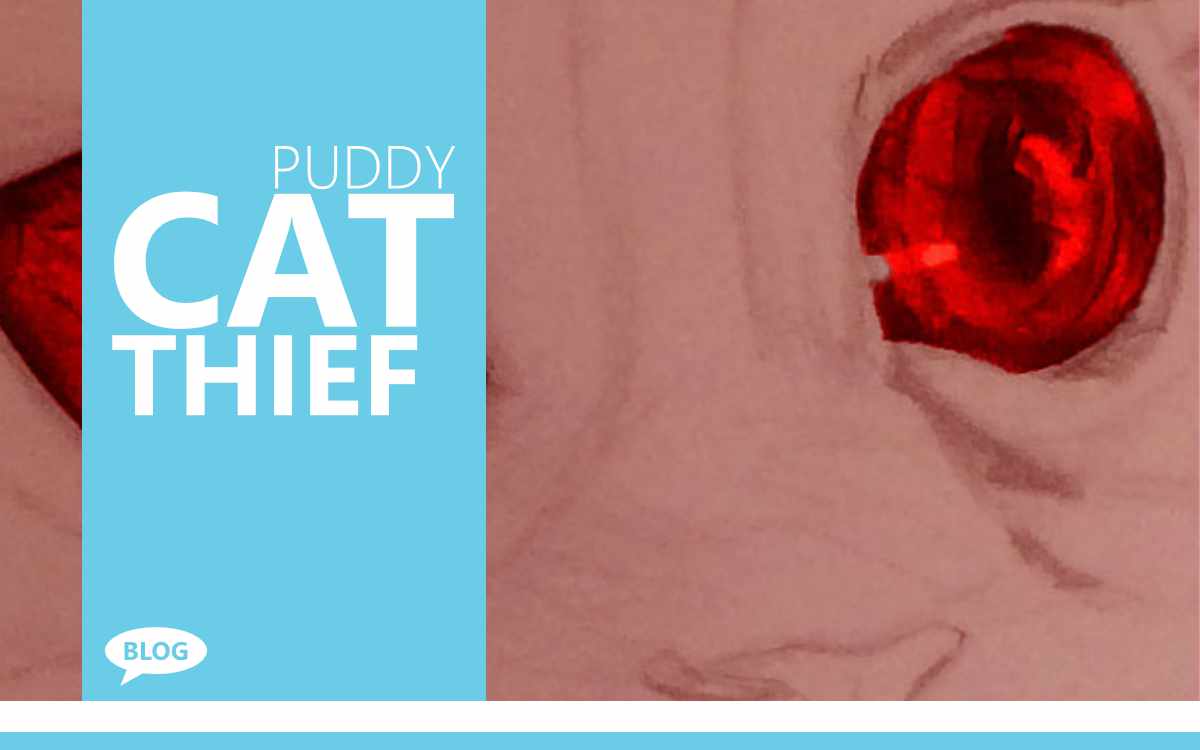 THE CASE OF THE PUDDY CAT ART THIEF from DeviantART