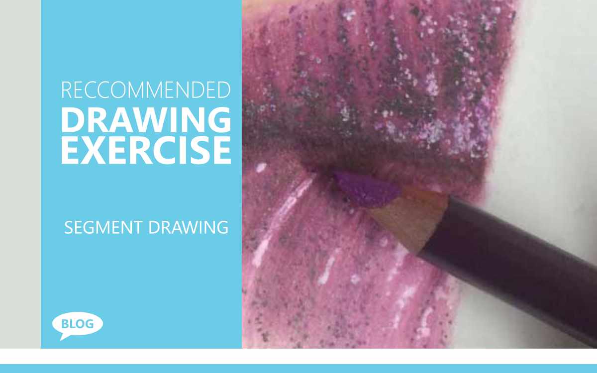 SEGMENT DRAWING • DRAWING EXERCISE