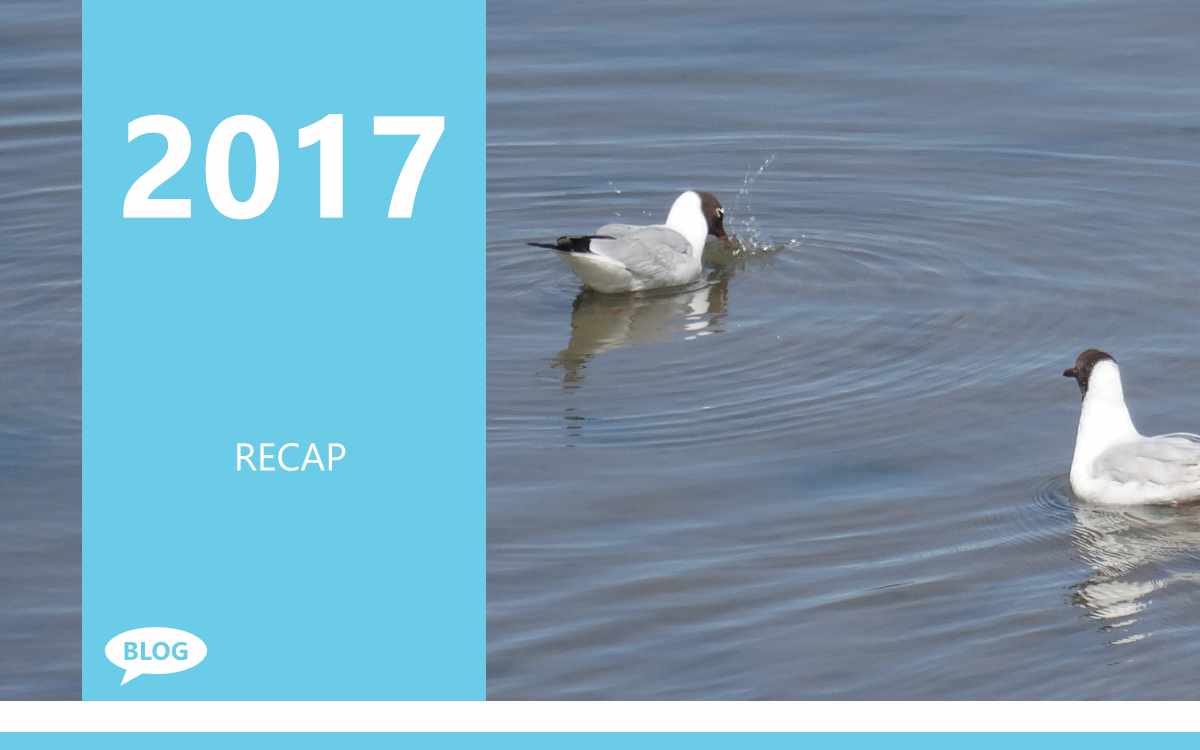 2017 RECAP | Artist Sophie Lawson