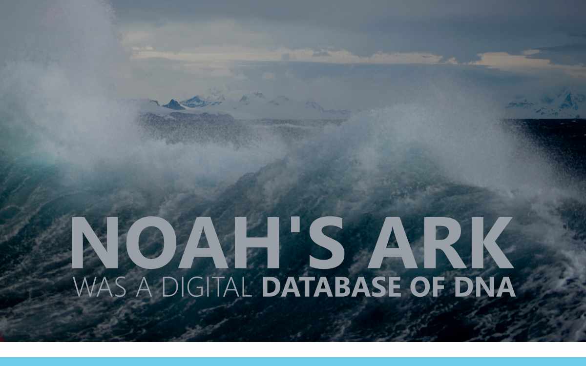 NOAH'S ARK WAS A DIGITAL DATABASE OF DNA • THE SO FREE ART PODCAST 158