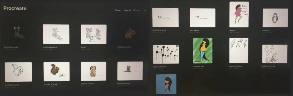 Learning Procreate Introduction
