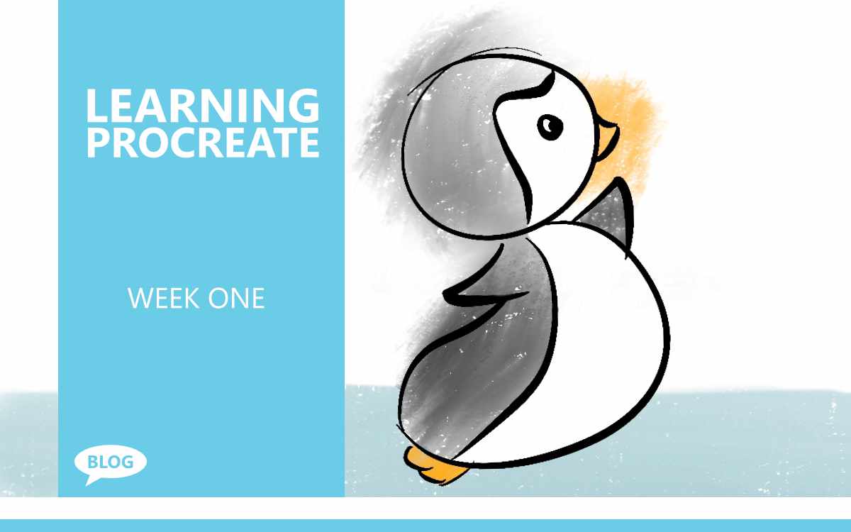 LEARNING PROCREATE • WEEK 1
